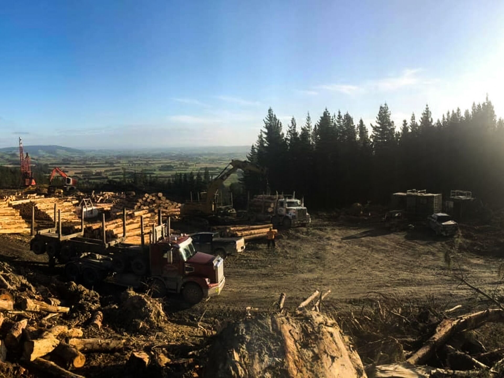 Forest Safe • Dennis Hayes Logging