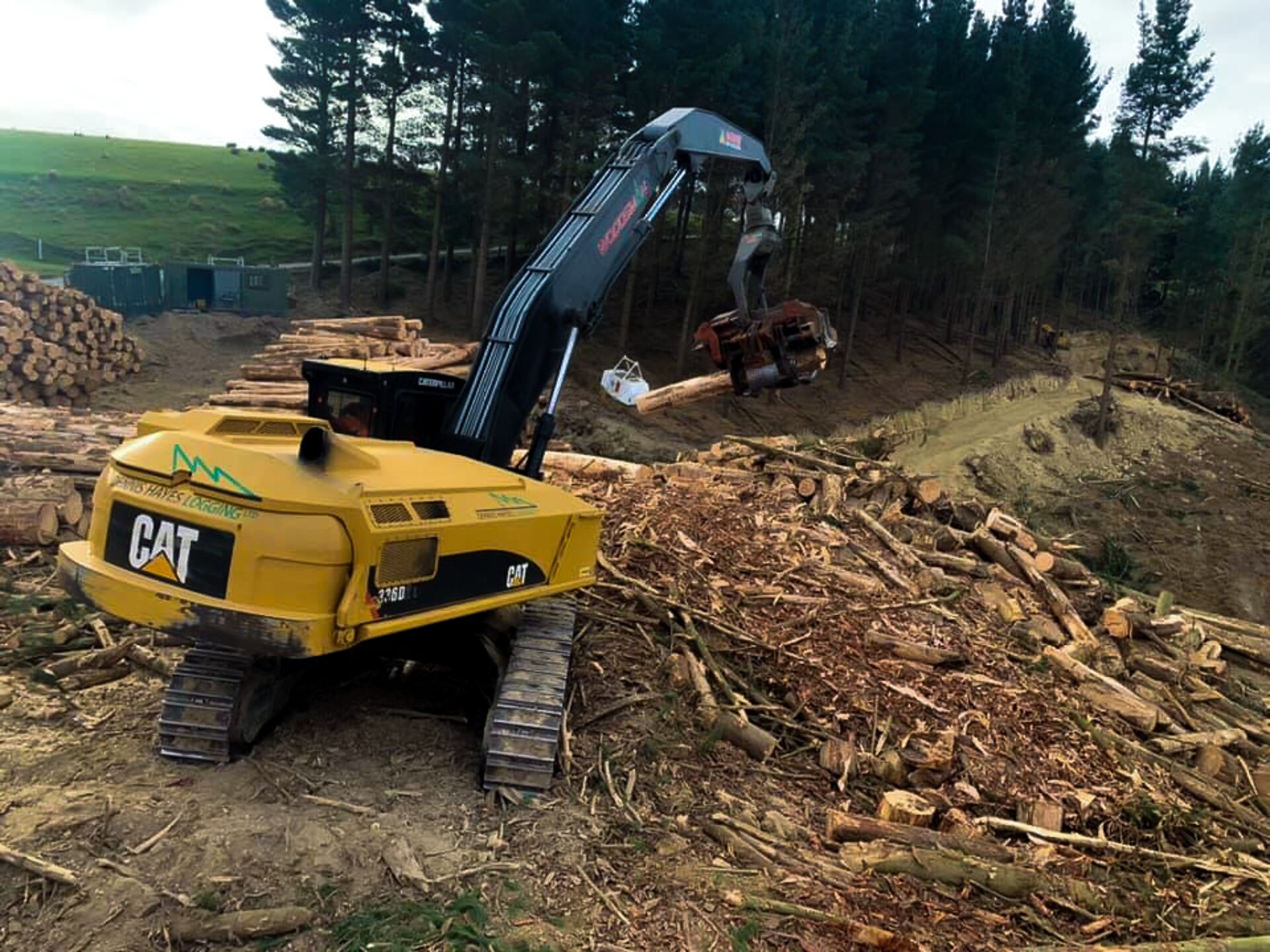 Forest Safe • Dennis Hayes Logging