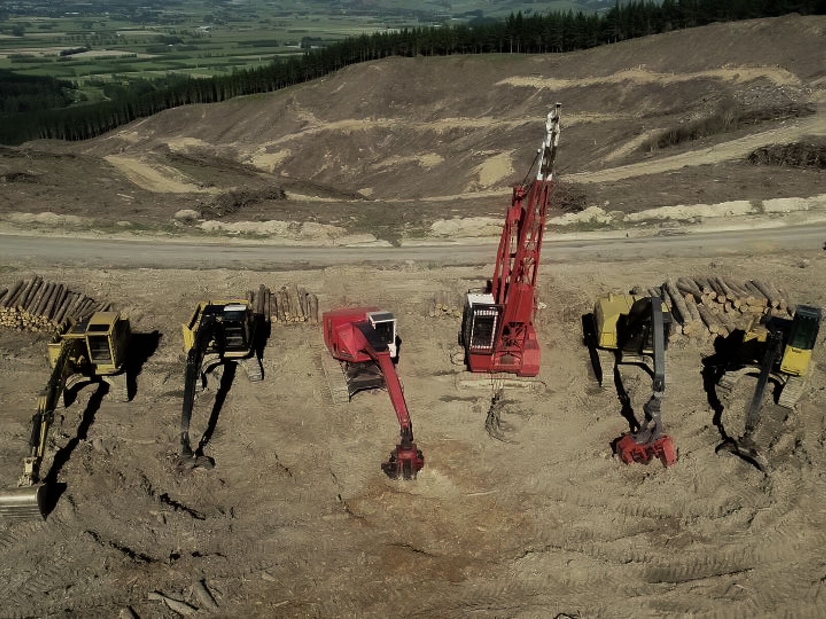 Forest Safe • Dennis Hayes Logging