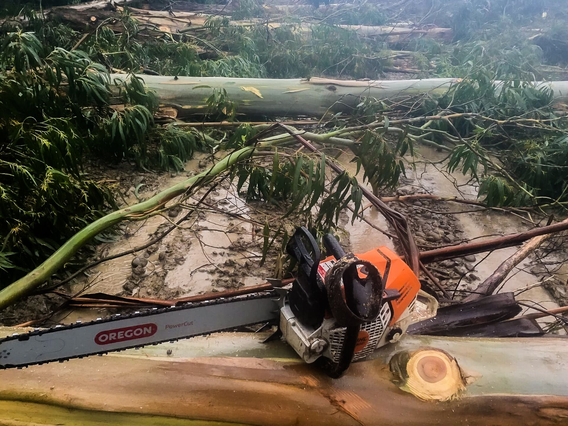 Forest Safe • Waitaki Logging Ltd